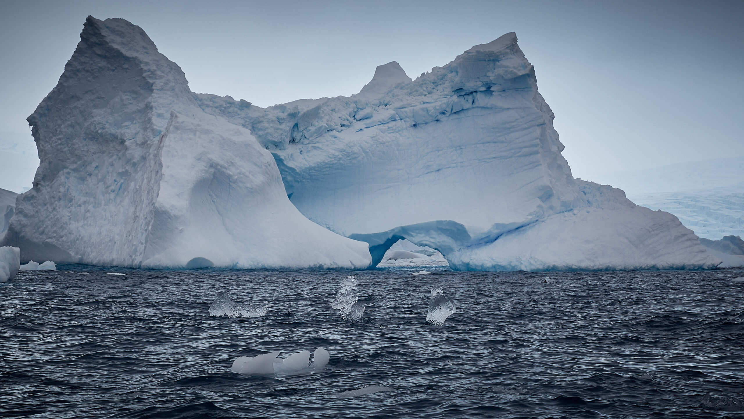 Antarctica: The Life-Changing Voyage | Angel Lemus - ASU Antarctica 2022