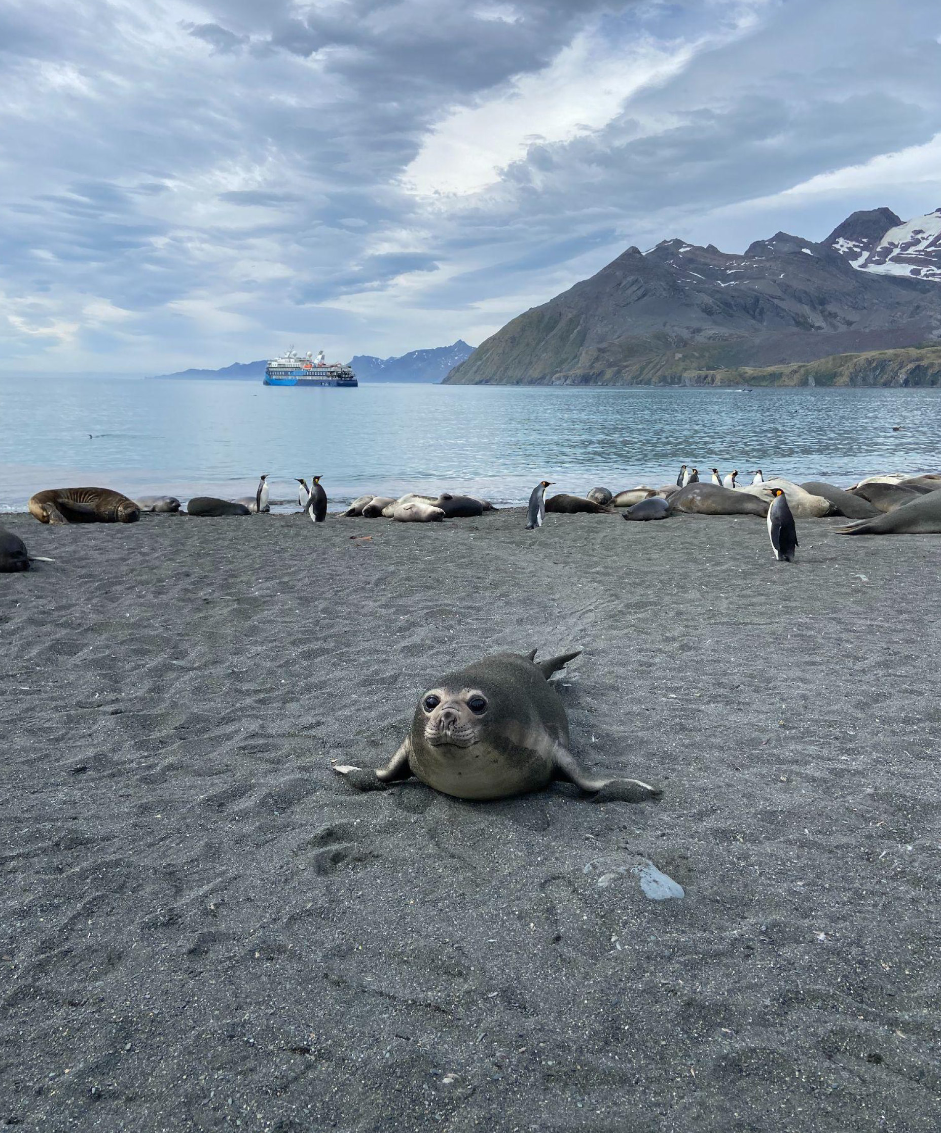The Sounds of Antarctica | Elena Humphreys Lucas - ASU Antarctica 2022